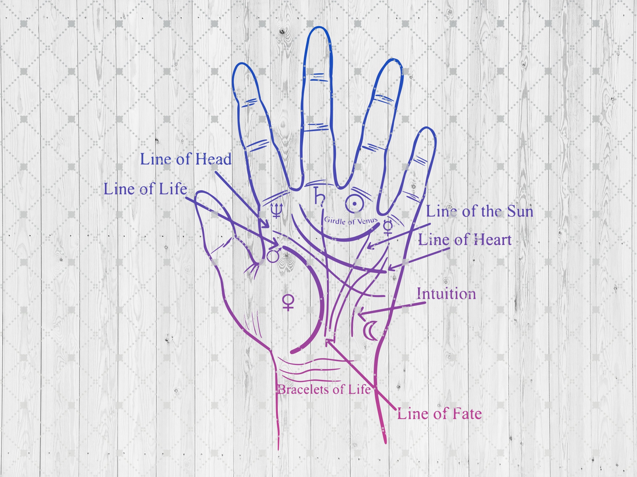 Palm Reading Baby Lines Clipart