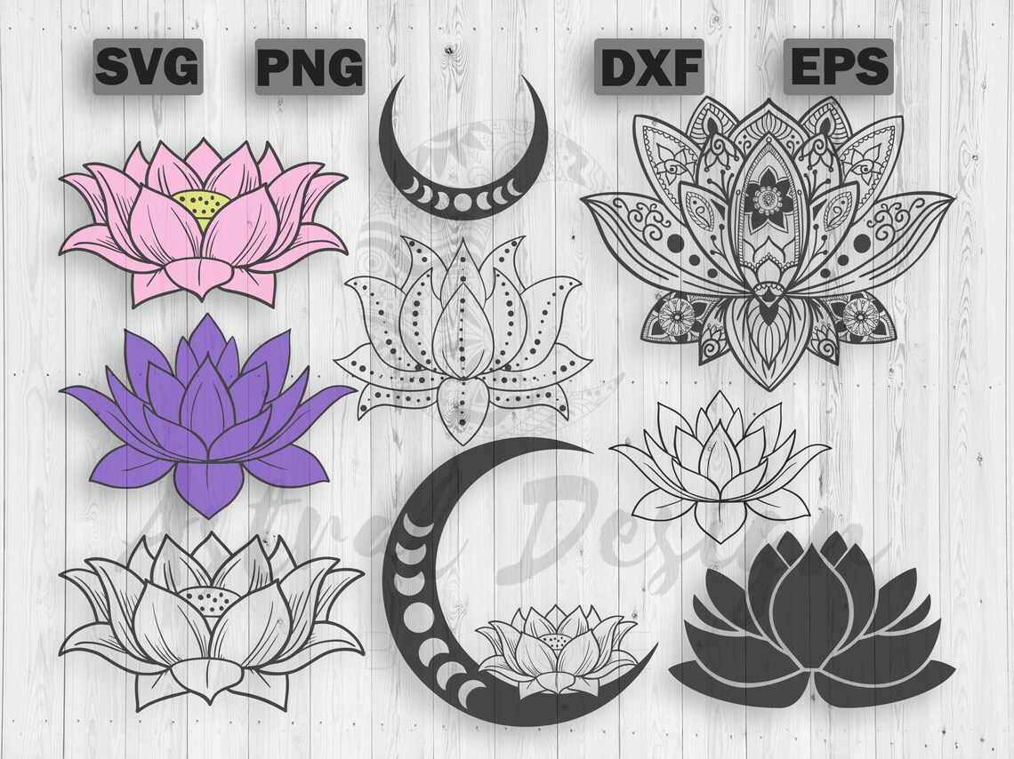 Lotus SVG Bundle Lotus Flower Cut Files Lotus Om PNG | Etsy Australia