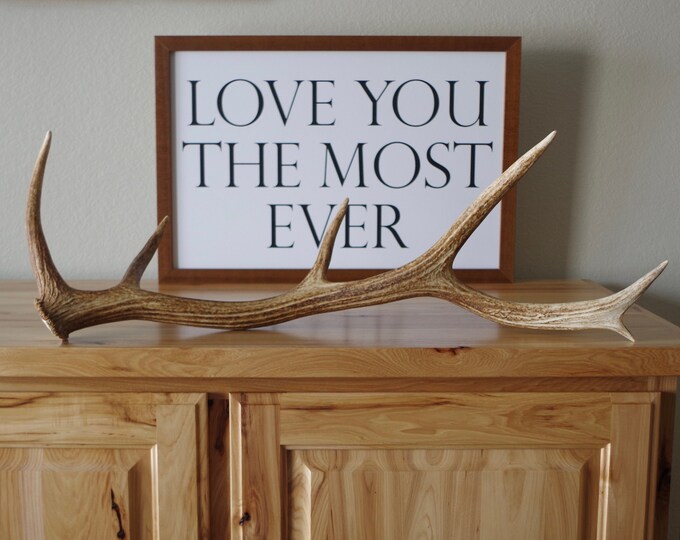 Elk Antler / Brown, Grade A, Six-point, Naturally Shed-off Elk Antler ...