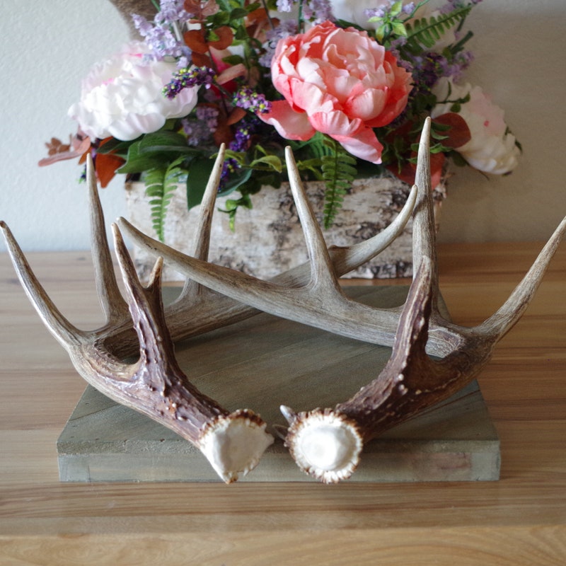 Deer Antlers - Etsy