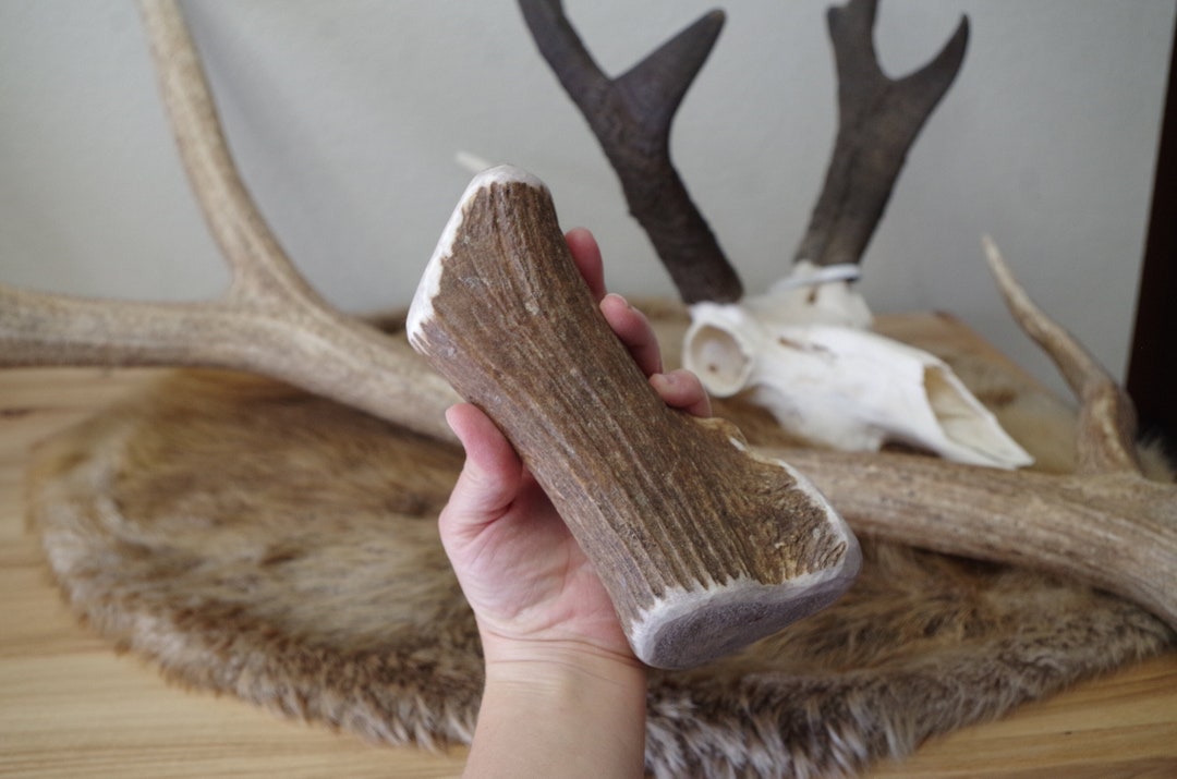 Thick Elk Antler Piece for Knife or Sword Handle / LARGE - Etsy