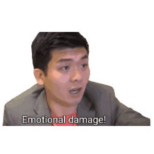 Steven He Emotional Damage Meme Stickers X3 2" Stickers Gag Gift Tiktok ...
