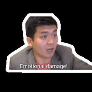 Steven He Emotional Damage Meme Stickers X3 2" Stickers Gag Gift Tiktok ...