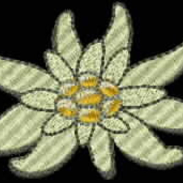 Edelweiss Embroidery - Etsy