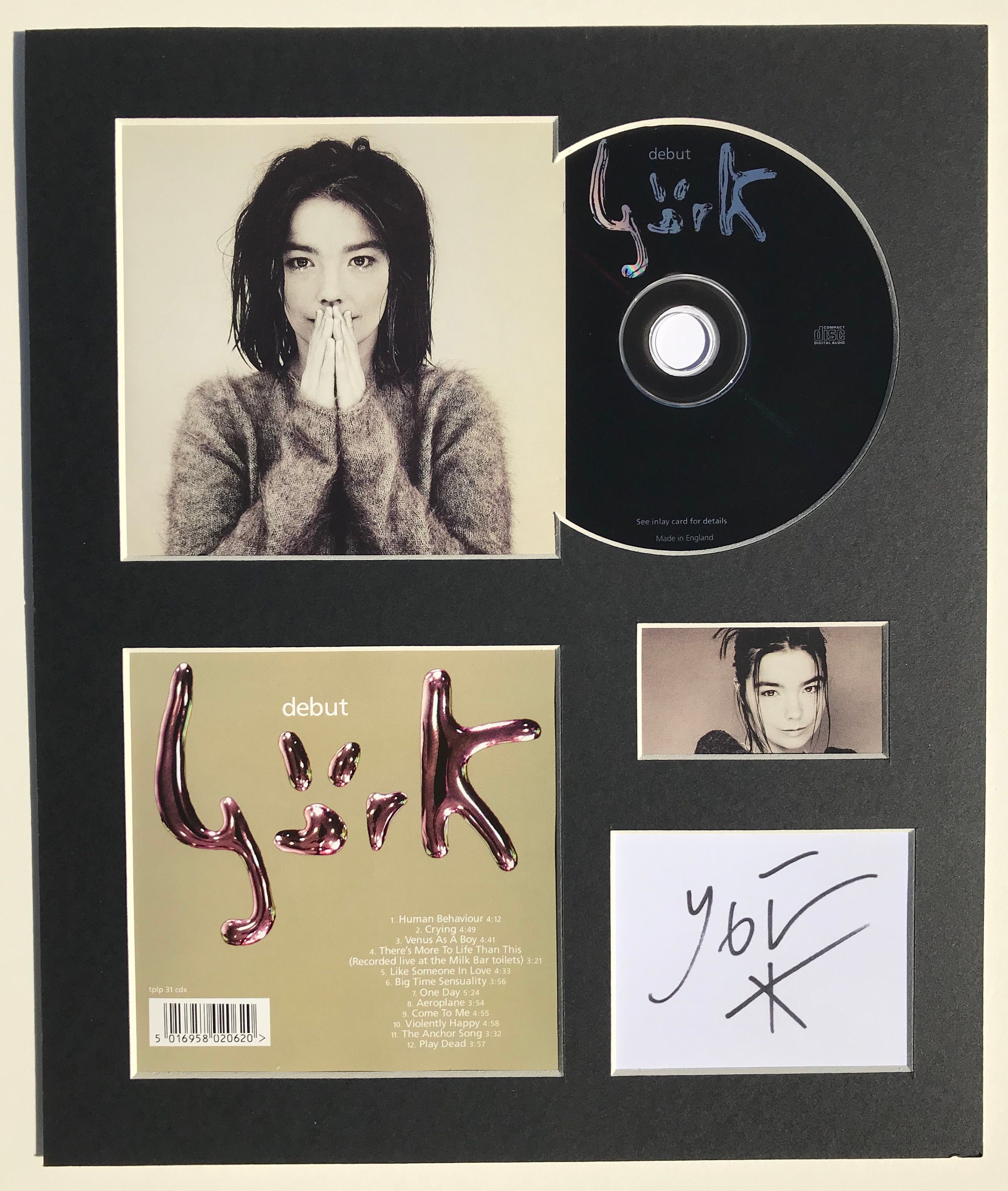 BJORK Signed Autographed Debut Mounted Album Display | Etsy