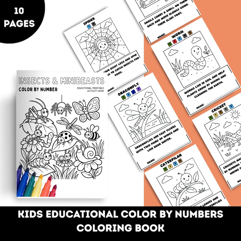 Insects & Minibeasts Color by Numbers | Kids Educational Printable ...