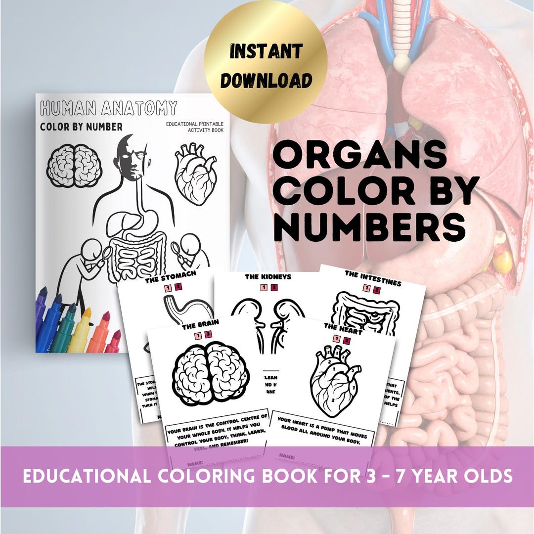Human Anatomy Color by Number | Kids Educational Printable Coloring ...