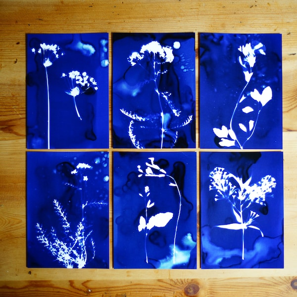 Cyanotype - Etsy UK