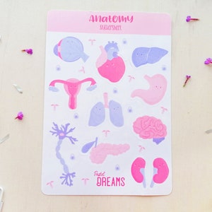 Biology Sticker Set| Anatomy Stickers | Organ Stickers |heart |lungs ...