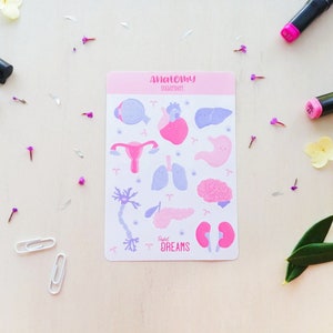 Biology Sticker Set| Anatomy Stickers | Organ Stickers |heart |lungs ...