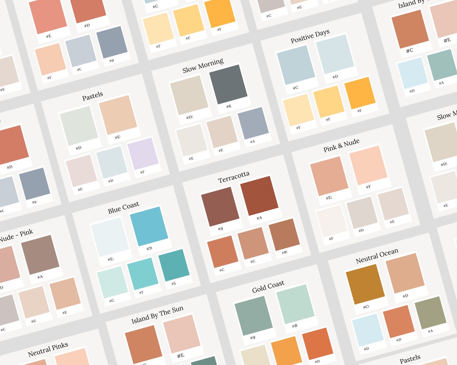 15 Branding Kit Colour Palettes Colour Kit Marketing Kit - Etsy