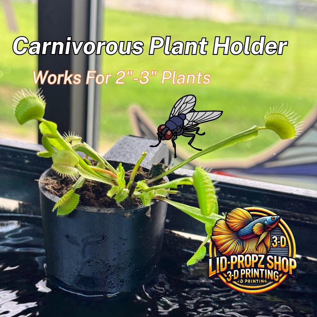 Fish Tank Carnivorous Plant Holder: Venus Fly Trap, Sundew, Pitcher ...