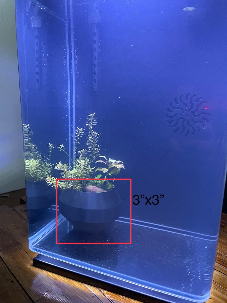Aquarium Plant Pot. Planted Fish Tank. - Etsy