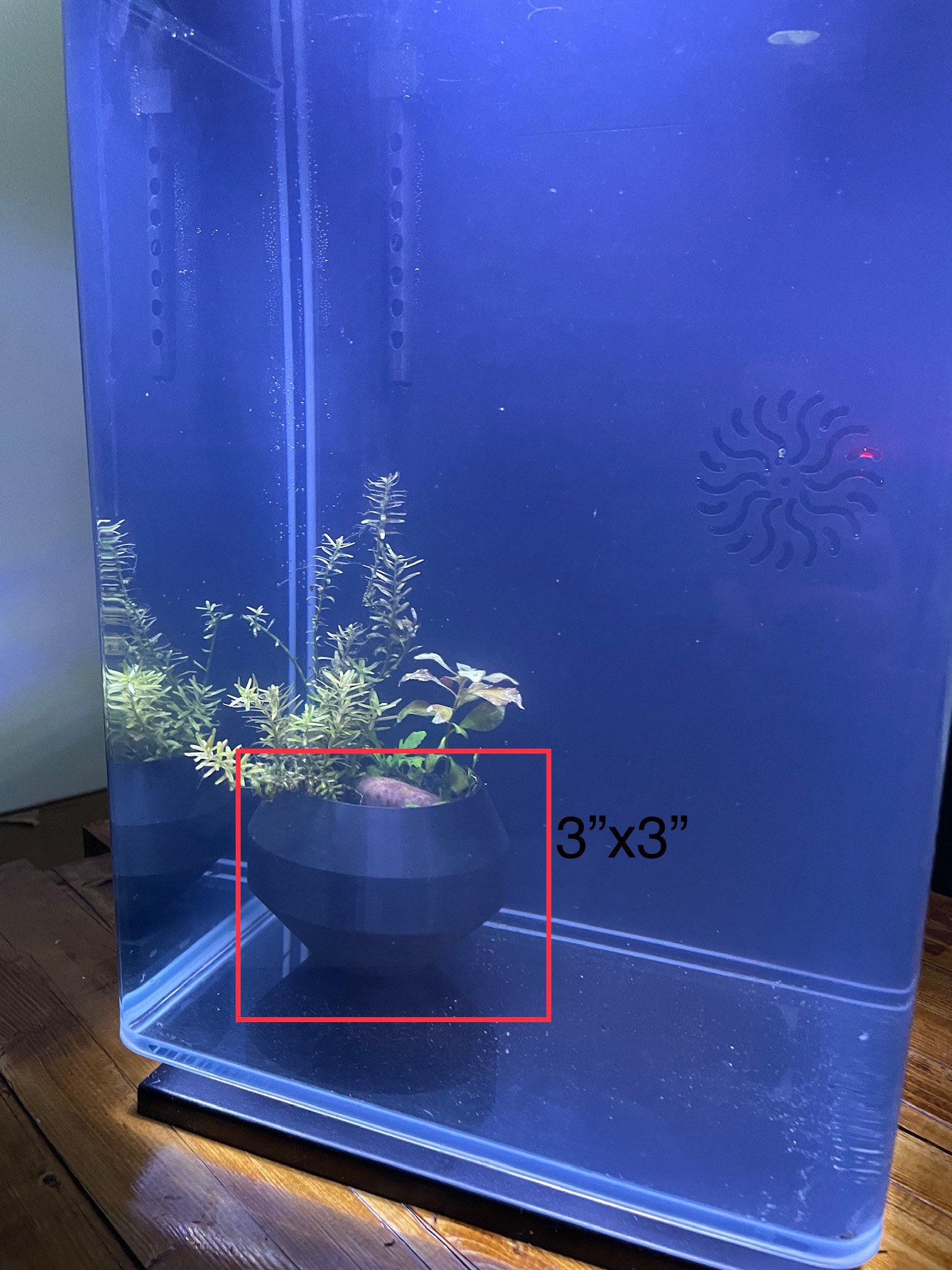 Aquarium Plant Pot. Planted Fish Tank. - Etsy