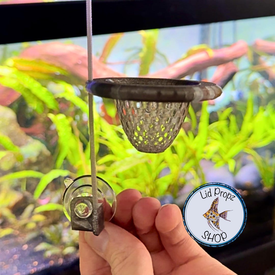 Slow Feeding Cone Feeder – Perfect for Discus Fish & Clean Aquariums ...