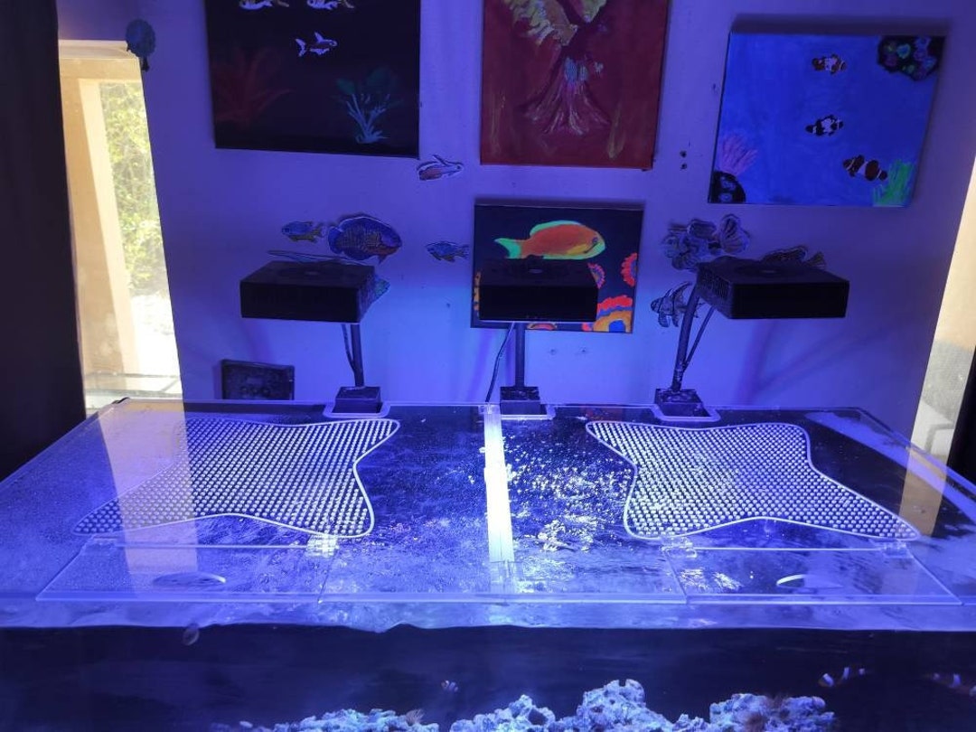 Custom Lids! for Fish Tanks. Clear Non Bowingfree SHIPPING! - Etsy