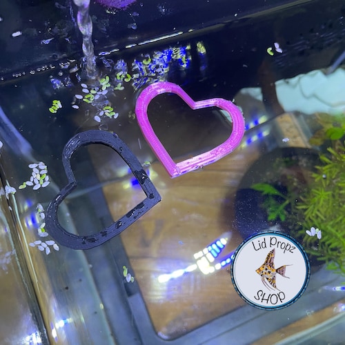 Dino Fish Tank Portal Feeding Ring Floating Betta Ring Food | Etsy