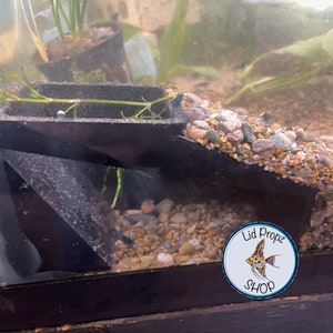 3D Printed Shrimp Cave Maze: Aquarium Enrichment Hideoutfree SHIPPING ...