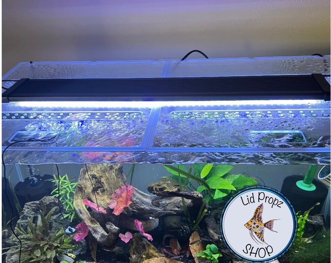 2/4/7 Gallon Cubic Rimless Aquarium, Low Iron Glass Tank, Betta Fish ...