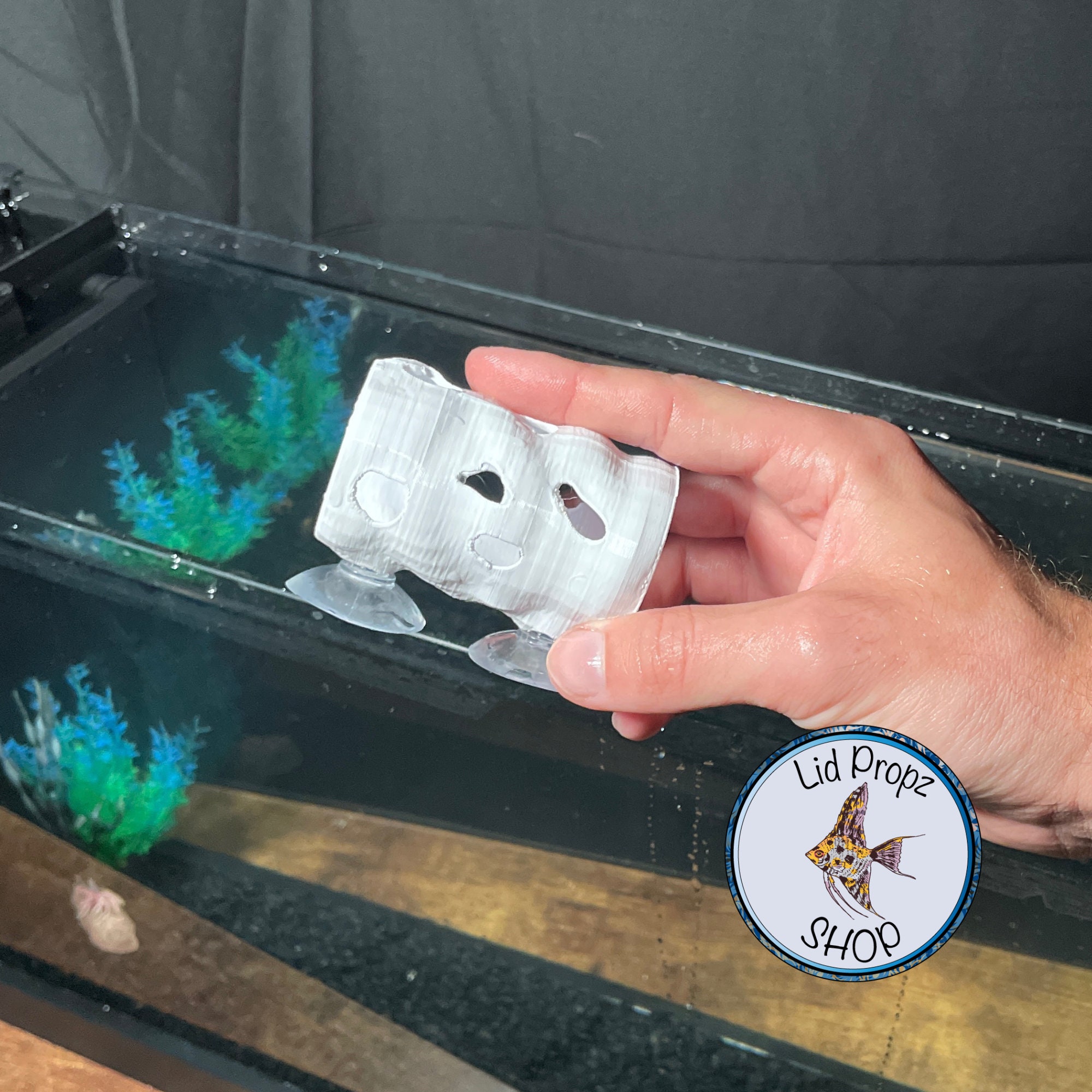 Betta Fish Bowl Diy