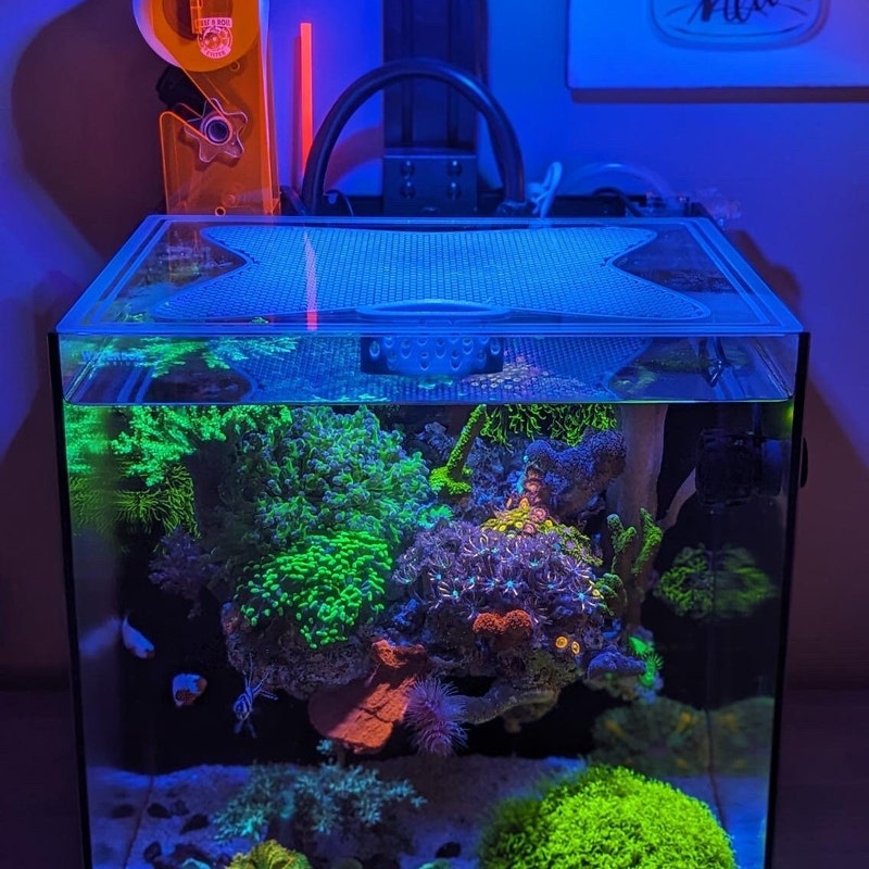 Clear Polycarbonate Cover - Etsy