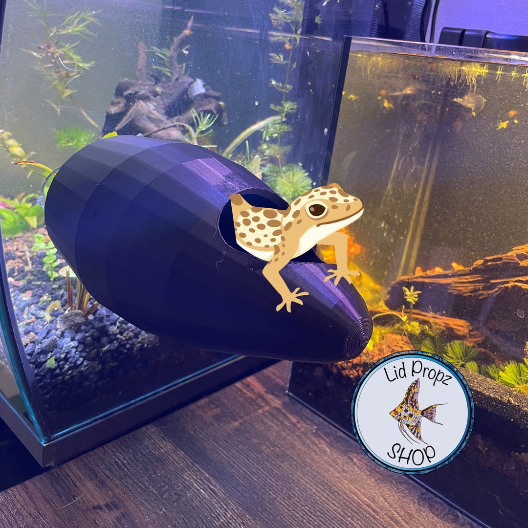 MEGA Relaxation Hide 4 Suction Security. Large 6 Inches Longfree ...