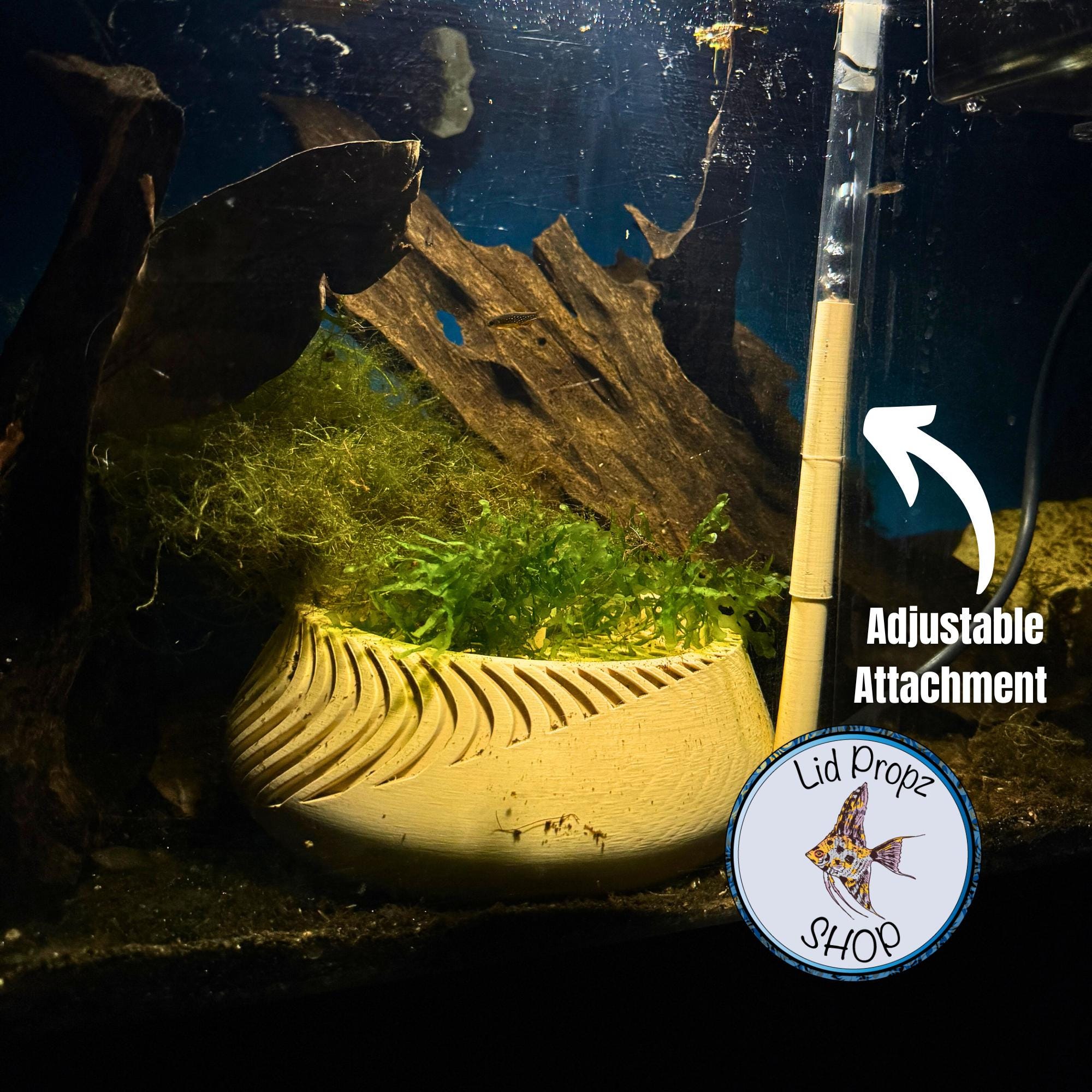 Automatic Fish Egg Catcher: Nano Fish Breeding Box Attachmentfree ...