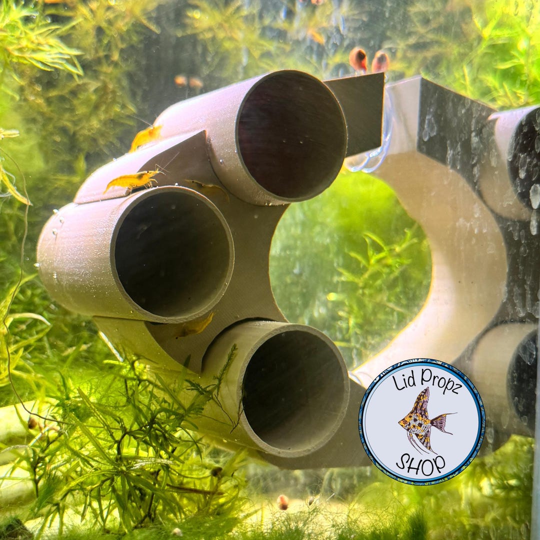 Shrimp 3 Tube Cave, Enrichment Holder Tan Fish Hide. Large 6x3x3 ...