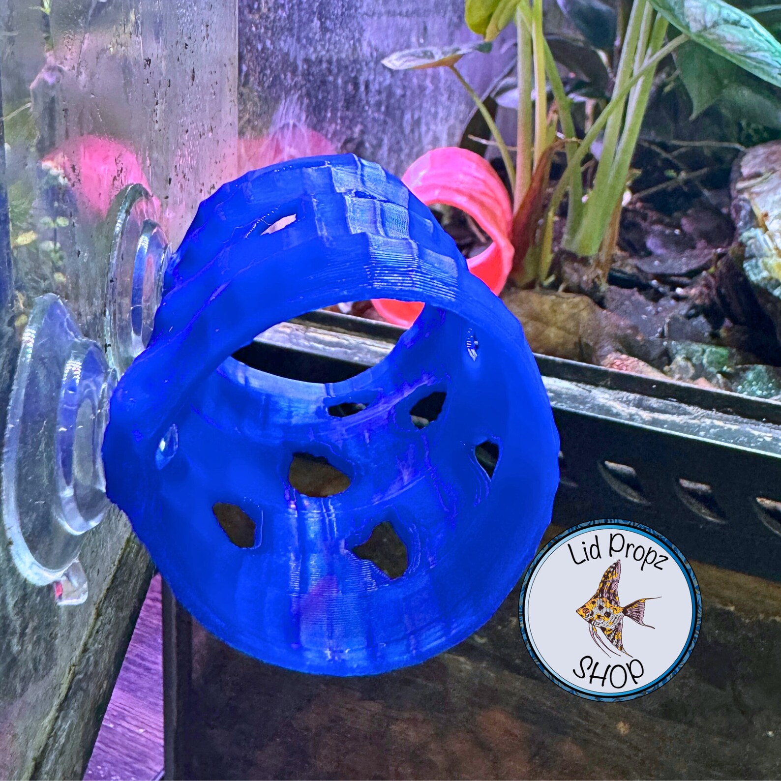 Blue Dart Frog Tube: Reptile Hideaway, Safe Relaxationfree SHIPPING! - Etsy