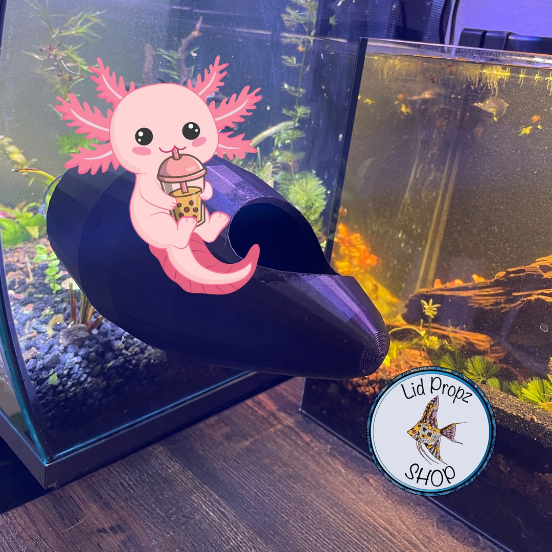 MEGA Axolotl Relaxation Hide 4 Suction Security. Large 6 Inches Long - Etsy