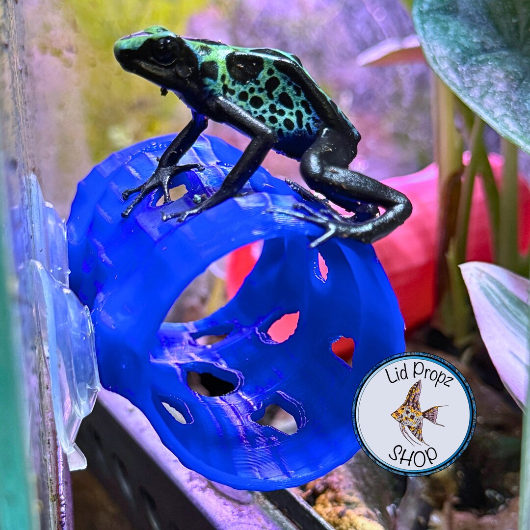 Blue Dart Frog Tube: Reptile Hideaway, Safe Relaxationfree SHIPPING! - Etsy