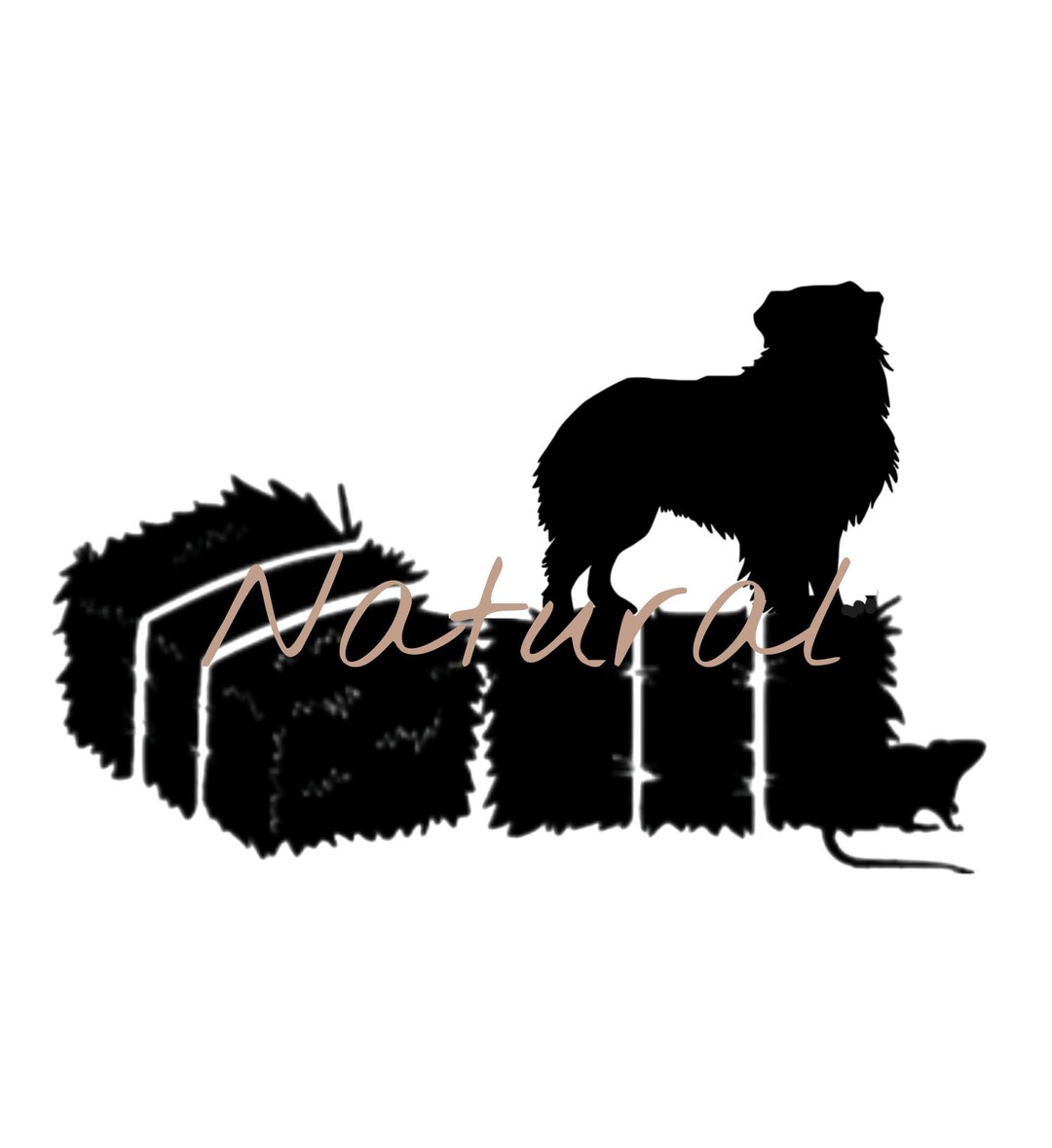 Mini Aussie Barn Hunt Digital File - Etsy