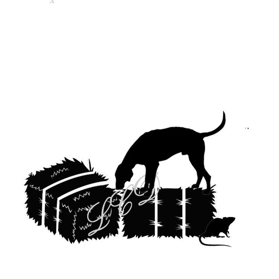 Barn Hunt Digital File - Etsy