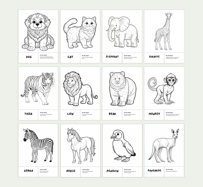 30 Animal Coloring Book for Kids & Adults: Educational Animal Kingdom ...