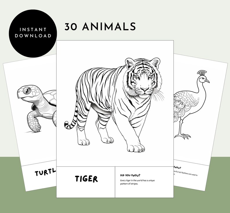 30 Animal Coloring Book for Kids & Adults: Educational Animal Kingdom ...