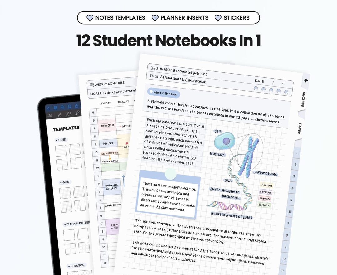 12 in 1 Student Digital Notebook for Goodnotes Notability iPad ...