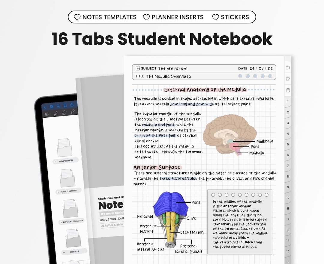 Minimal Student Digital Notebook for Goodnotes Notability iPad ...