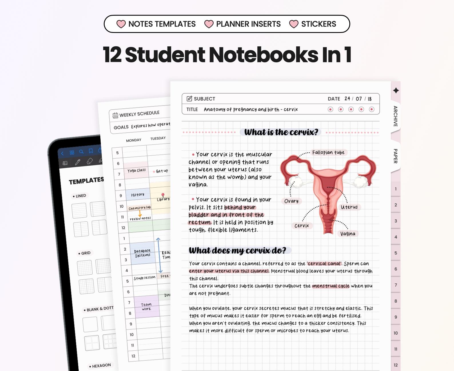 12-in-1 Pink Student Digital Notebook for Goodnotes Notability iPad ...