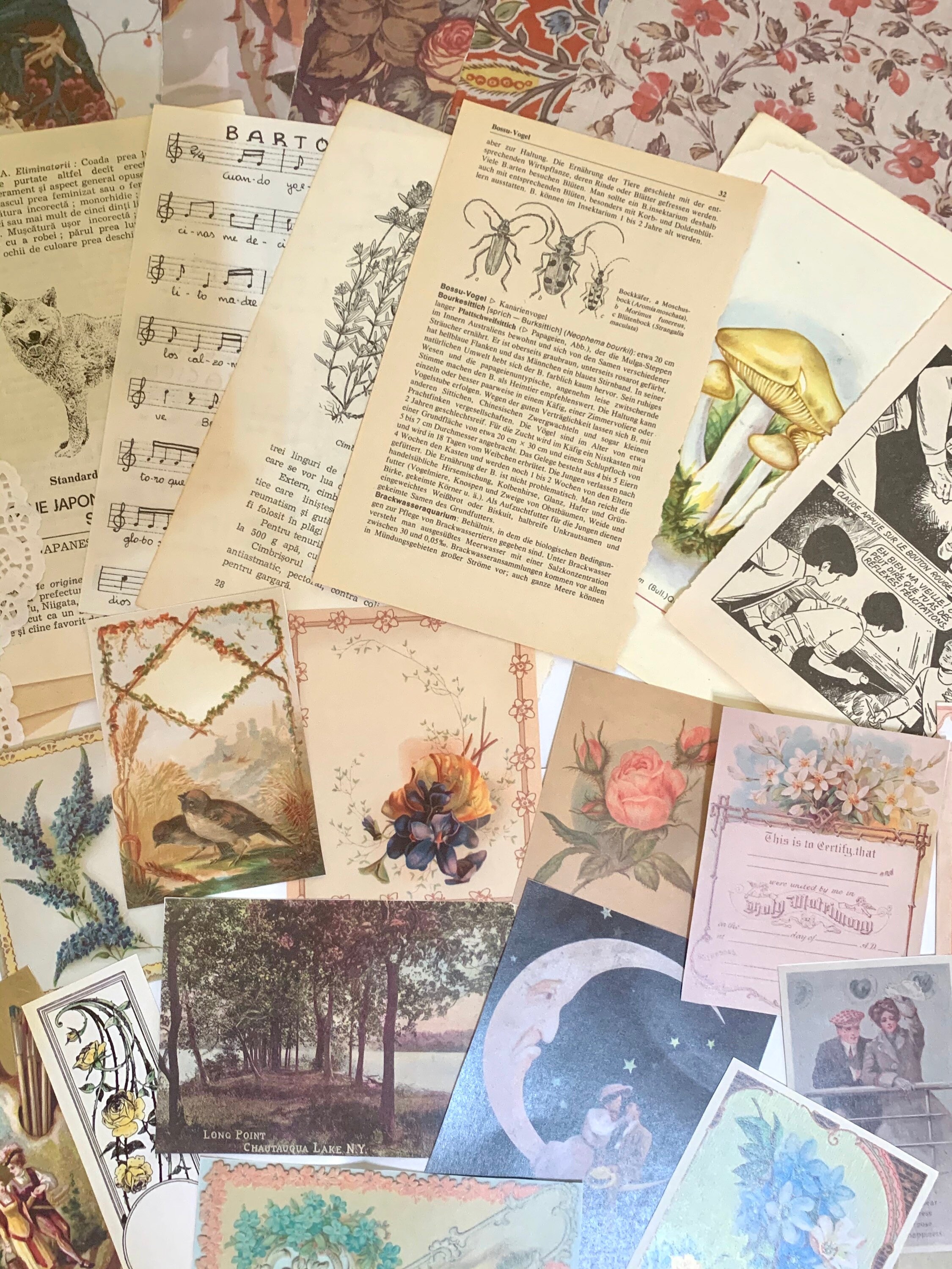 Junk Journal Mystery Journal Kit 50 Pcs Grab Bag Cottage - Etsy