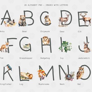 Forest Animals ABC Watercolor Clipart With Transparent Background ...