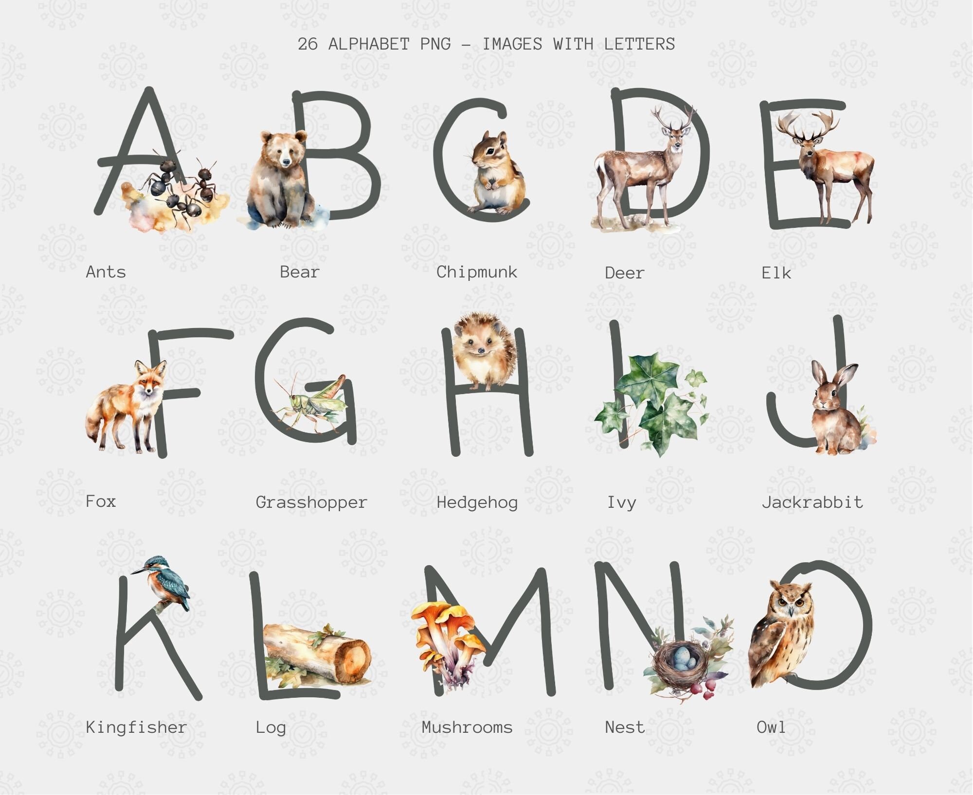 Forest Animals ABC Watercolor Clipart With Transparent Background ...