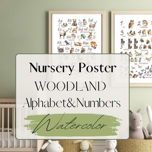 ABC and Numbers Nursery Poster Set With Forest Animals for Montessori ...