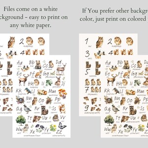ABC and Numbers Nursery Poster Set With Forest Animals for Montessori ...