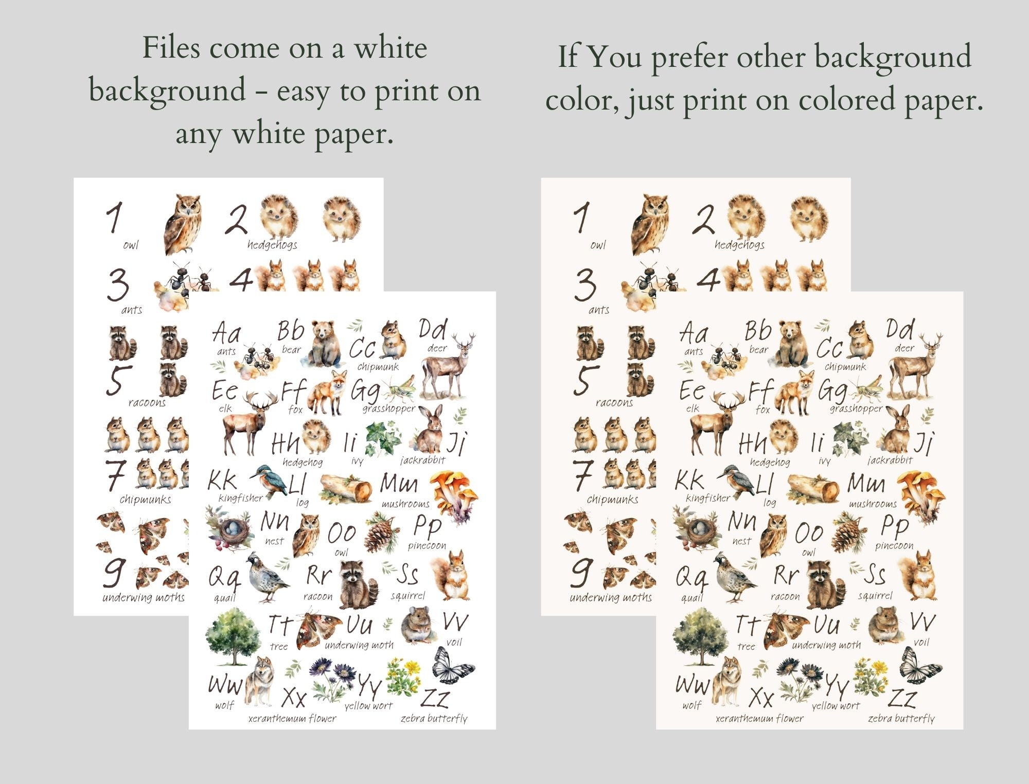 ABC and Numbers Nursery Poster Set With Forest Animals for Montessori ...