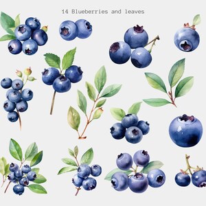 Summer Berries Watercolor Clipart Png, Transparent Pngs, Strawberry ...