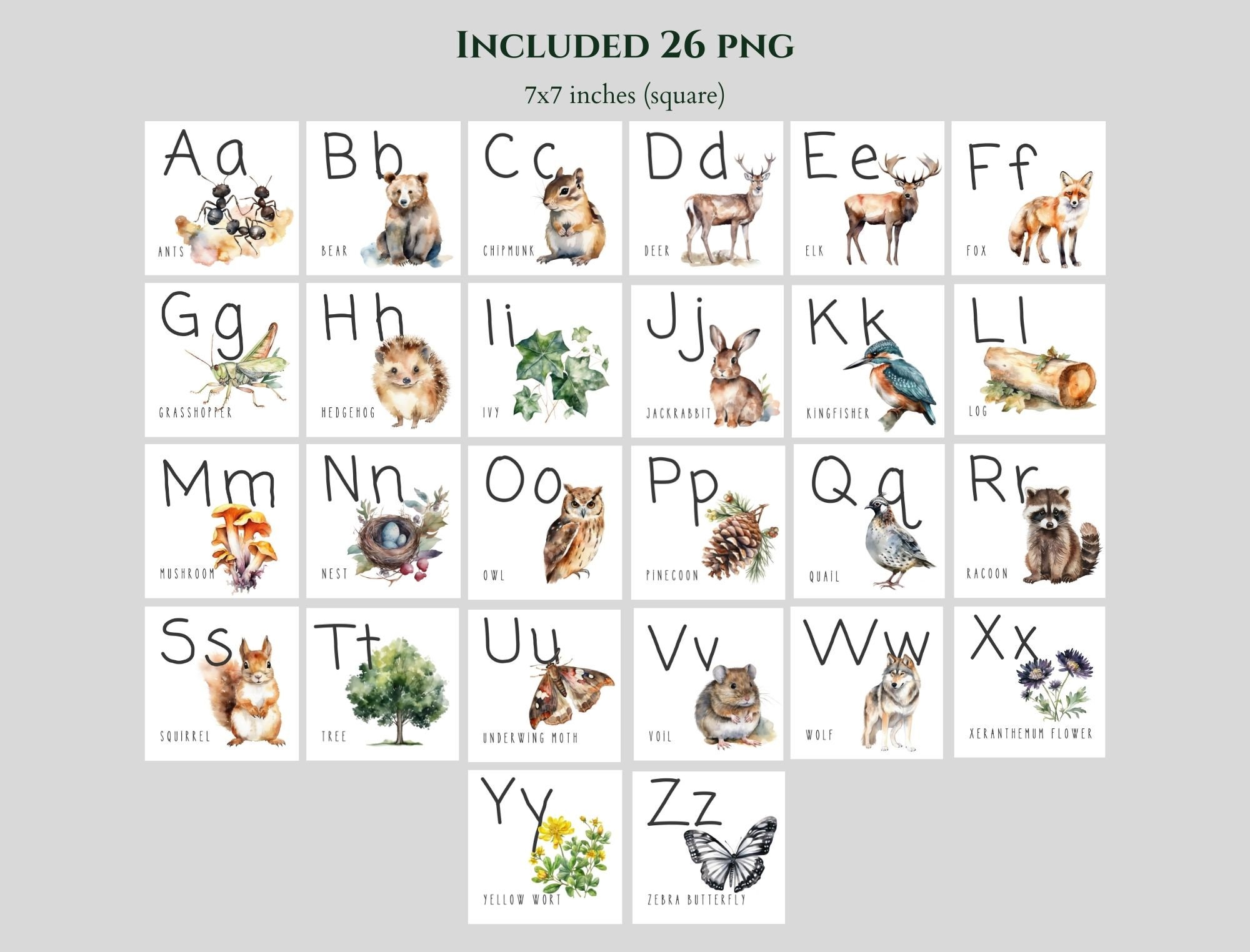 Woodland ABC Flashcards With Watercolor Illustration for Montessori ...