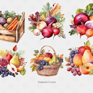 Watercolor Fall Fruits & Vegetables Clipart: 101 Pngs (digital Download ...