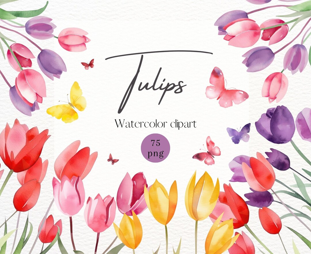TULIPS Watercolor Clipart With Transparent Background, 75 Pngs ...