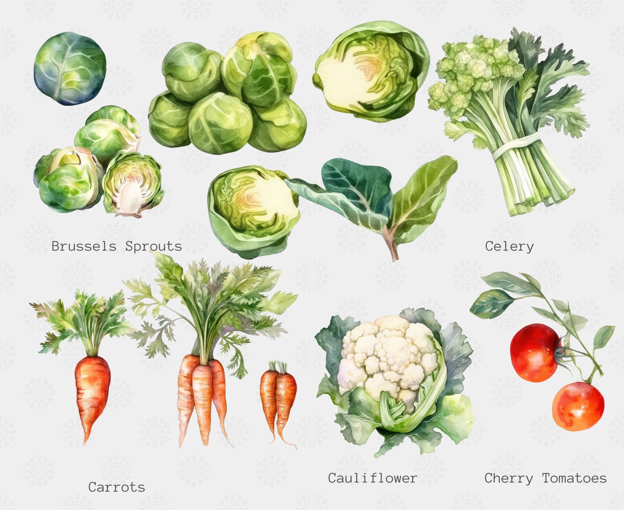 Watercolor Fall Fruits & Vegetables Clipart: 101 Pngs (digital Download ...