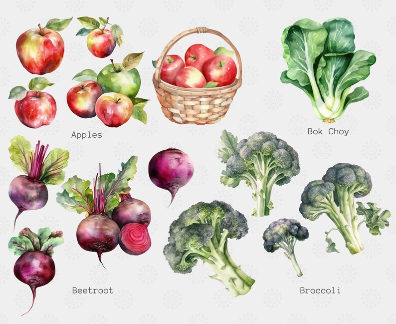 Watercolor Fall Fruits & Vegetables Clipart: 101 Pngs (digital Download ...